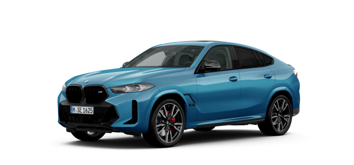 BMW X6 - Radulović-Group